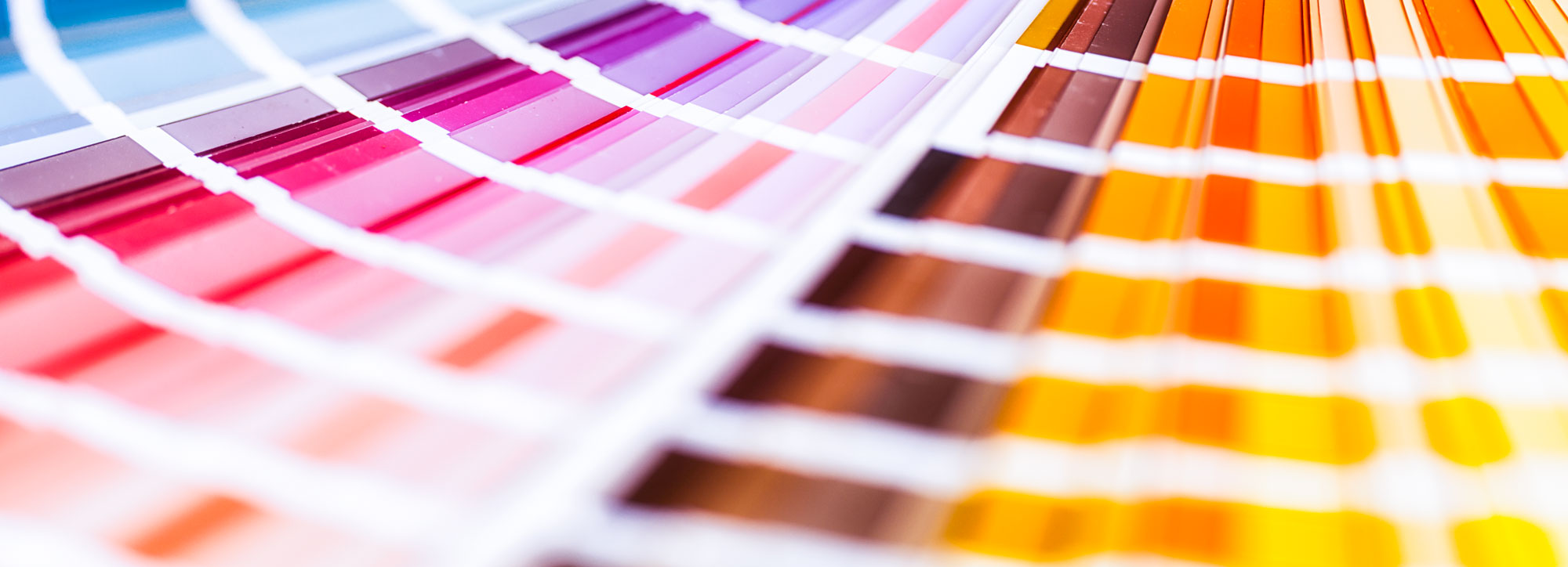 Introducing Graphic Design Bachelor's Degree Program!