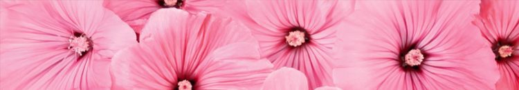 The Psychology of Color – The Los Angeles Film School