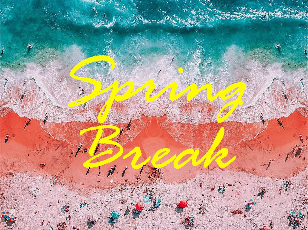 Best Movies To Watch During Spring Break – The Los Angeles Film School