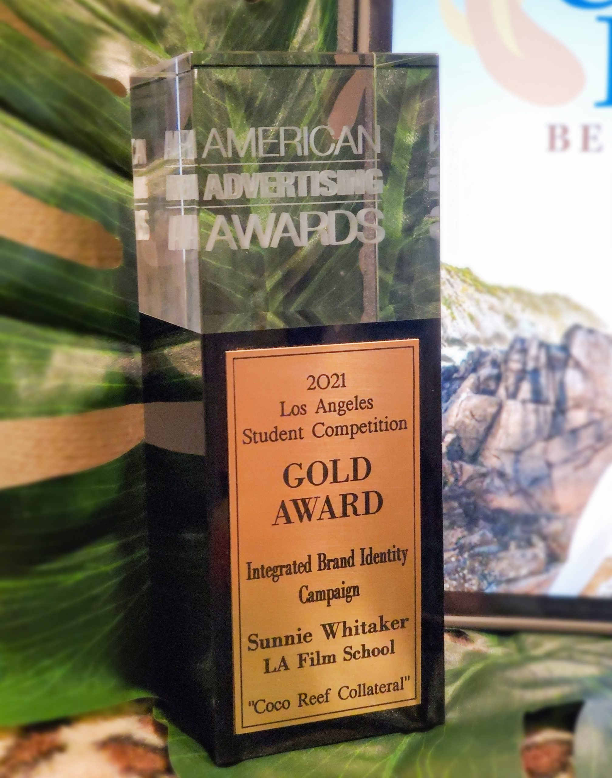 Graphic Design Students Win ADDY Awards – The Los Angeles Film School